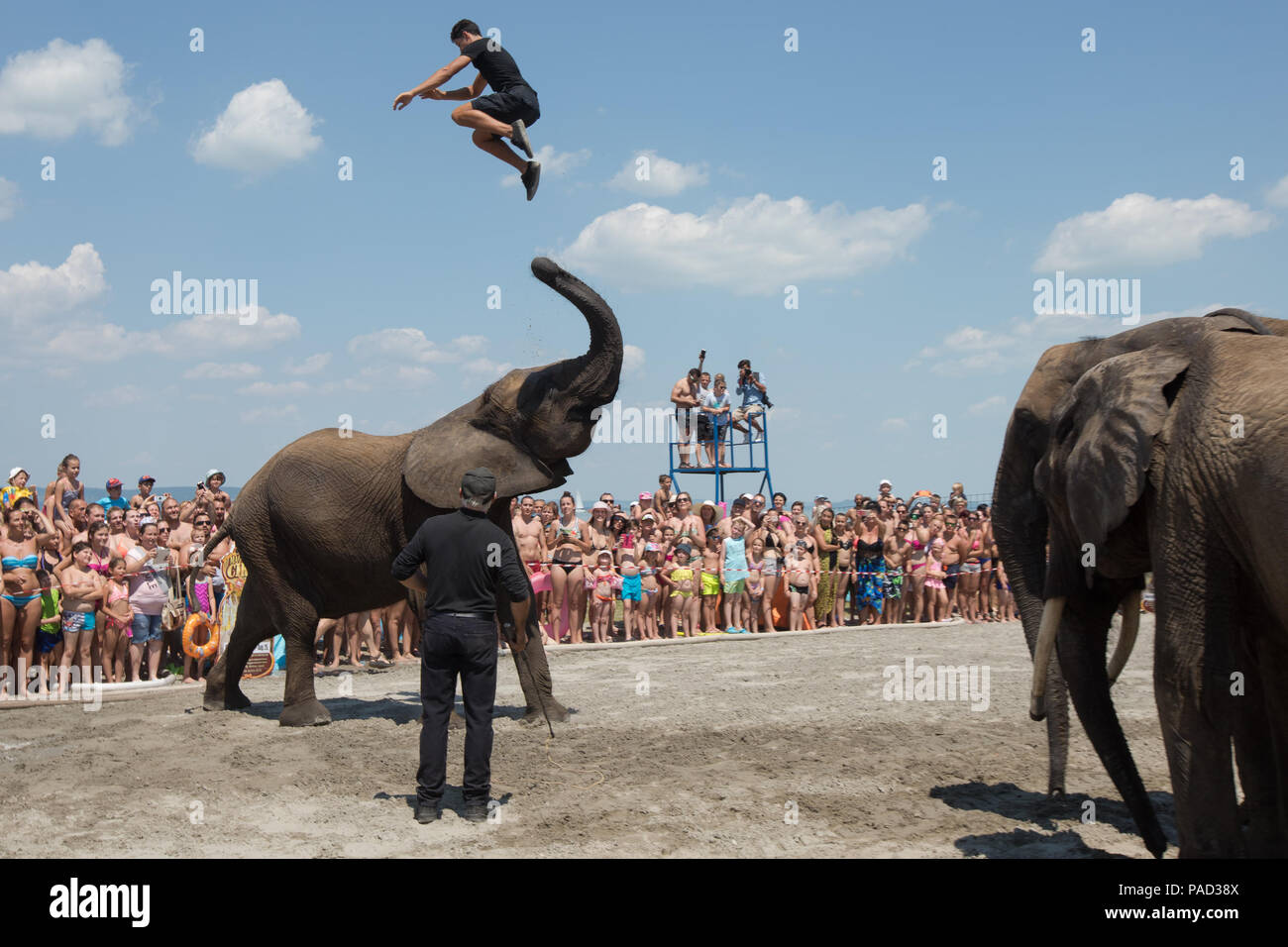 Circus elephant china hi-res stock photography and images - Alamy