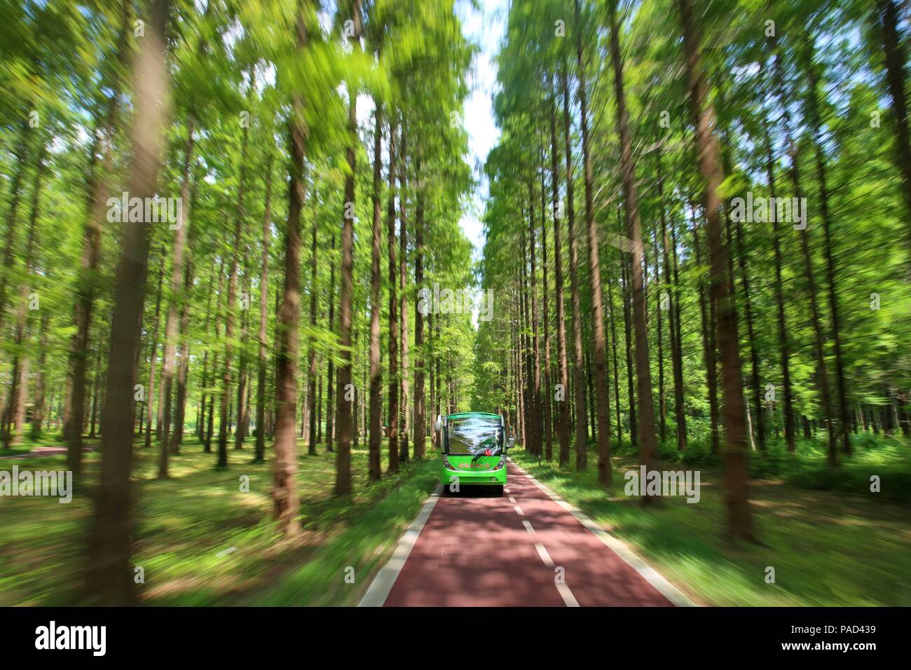 Dongtai, China's Jiangsu Province. 21st July, 2018. Tourists take a ...