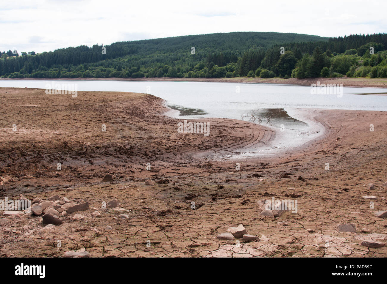 Onn line hi-res stock photography and images - Alamy