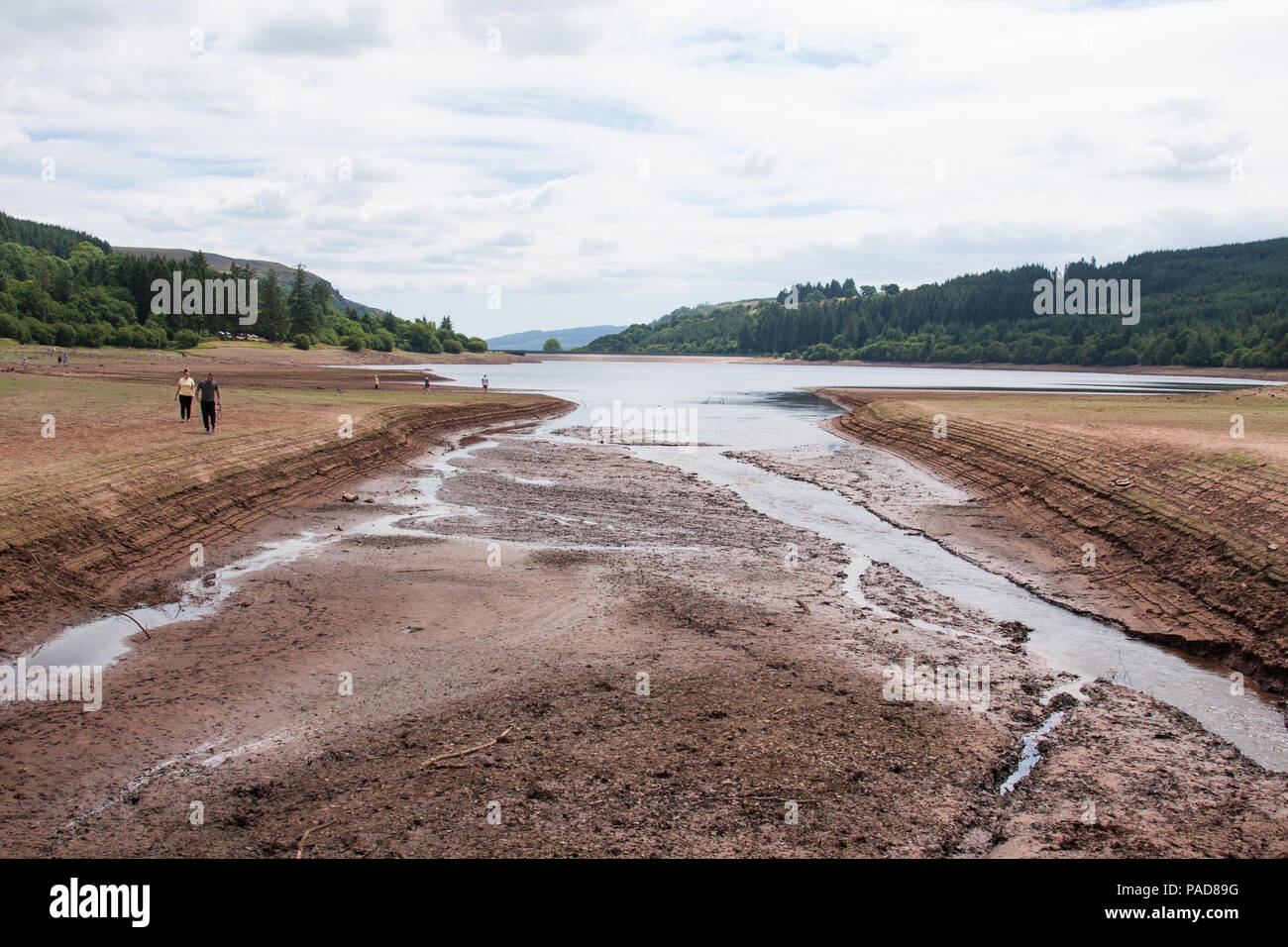 Dried up stream uk hi-res stock photography and images - Alamy