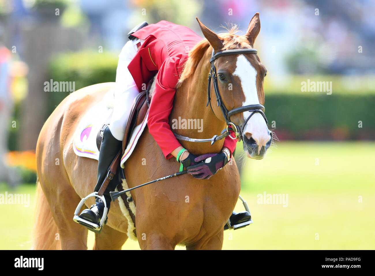 Germany, Aachen. 22nd July, 2018. CHIO, equestrian, show jumping. The ...