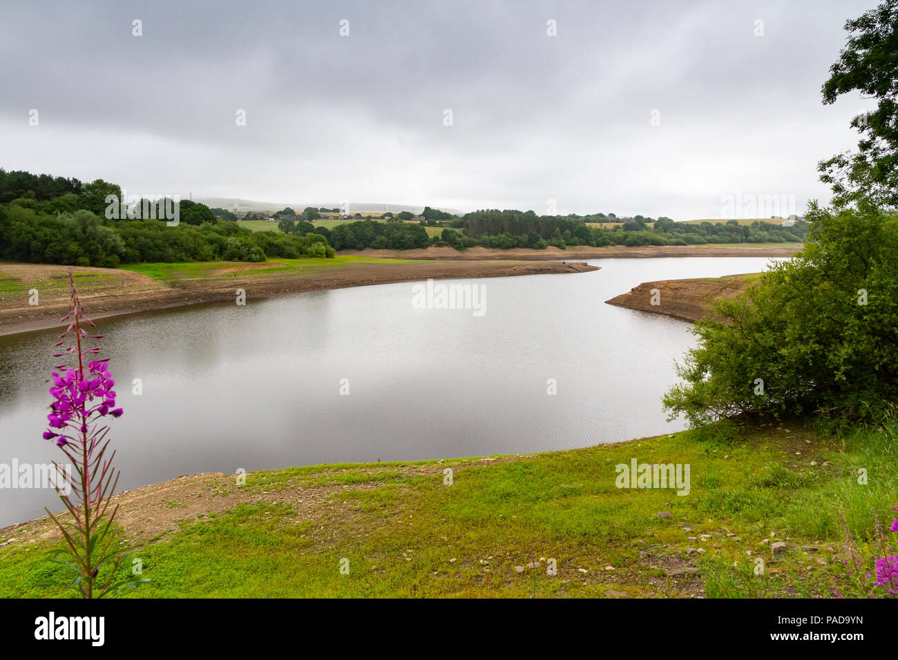 Bolton, UK 22nd July 2018 : Prolonged hot weather and lack of rain ...