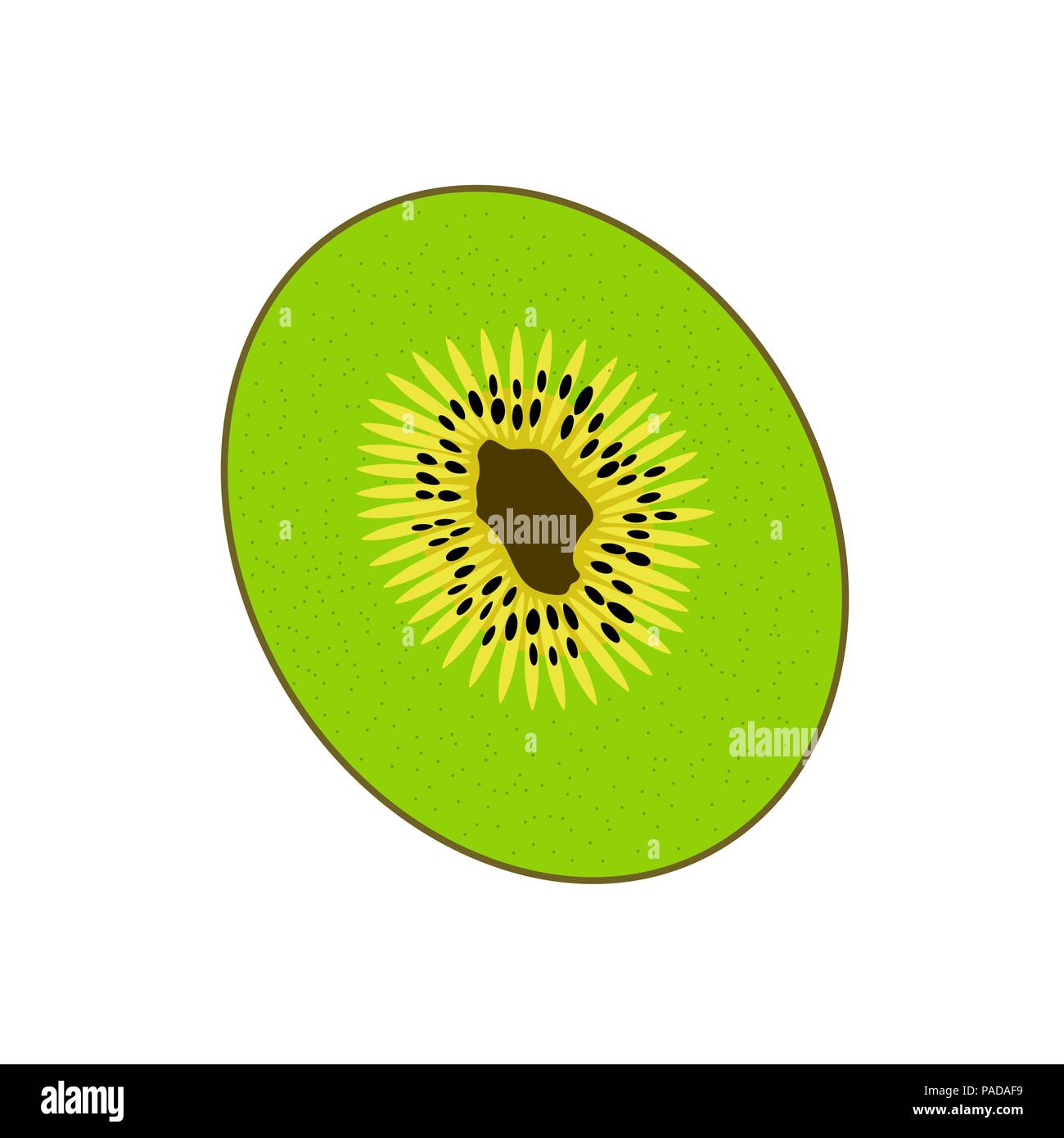 White fragrant fruit Stock Vector Images - Alamy