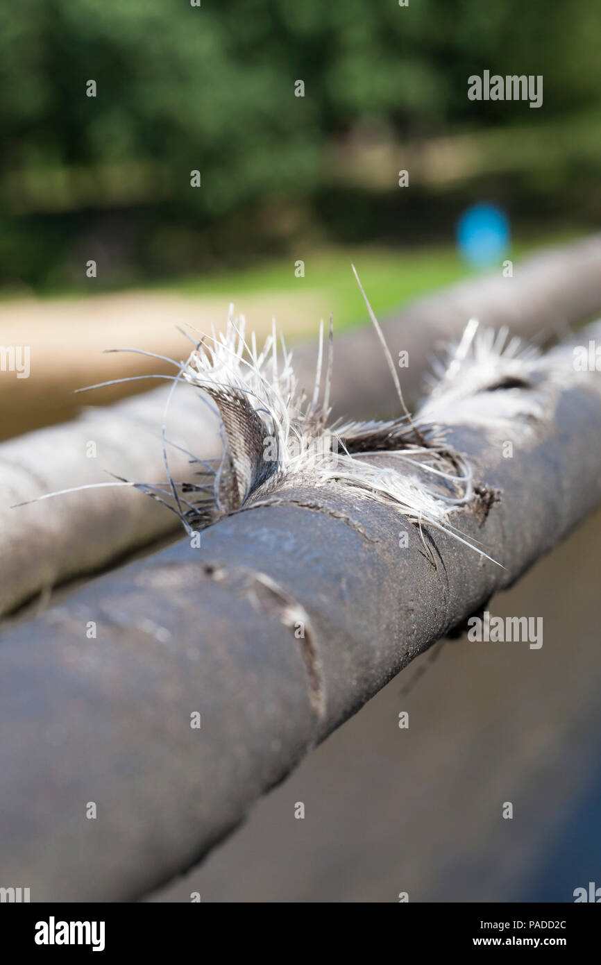 thick large cables fastening the bridge whose protection began to burst ...