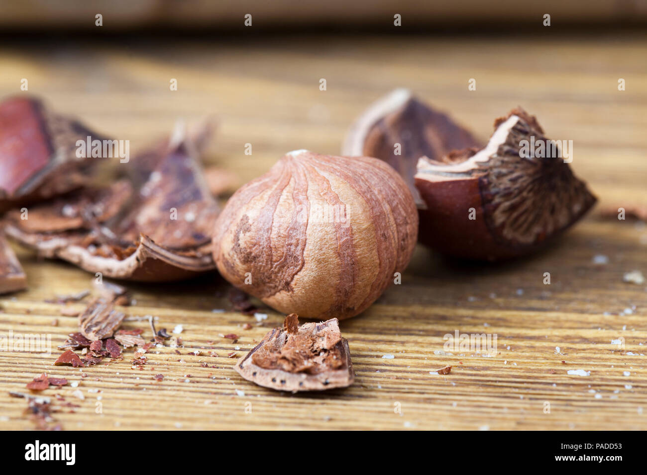 cracked hazelnut with parts of the shell on white background Stock ...