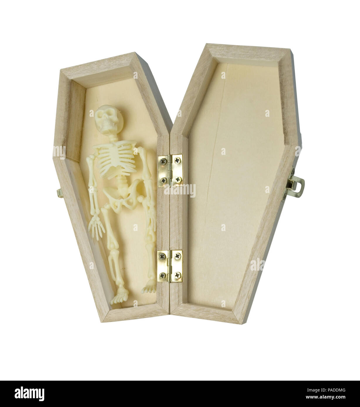 Skeleton in wooden coffin hi-res stock photography and images - Alamy