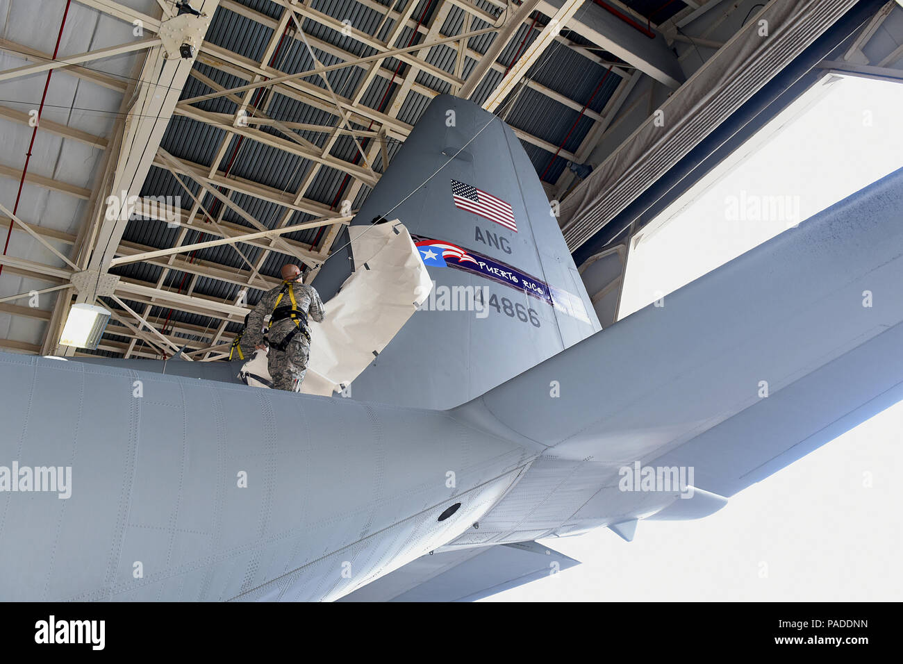 U.S. Air Force airmen unveils the winning tail flash for 156th Airlift ...