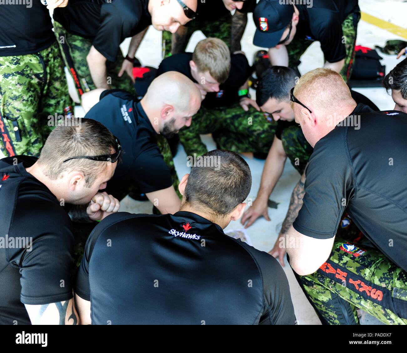 Members canadian skyhawks parachute team hi-res stock photography and ...