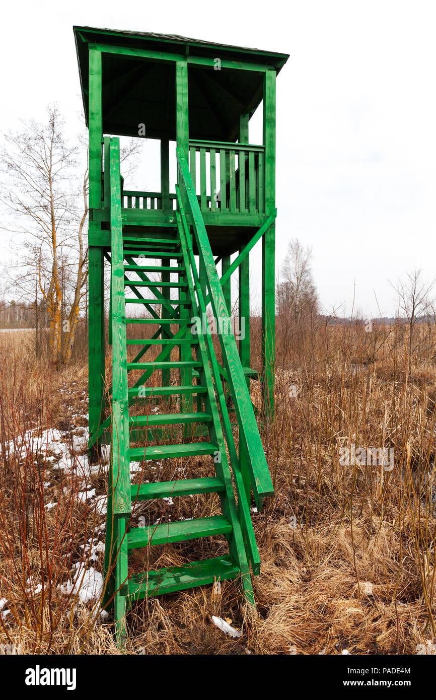 A green-painted wooden watchtower for watching animals in the spring ...