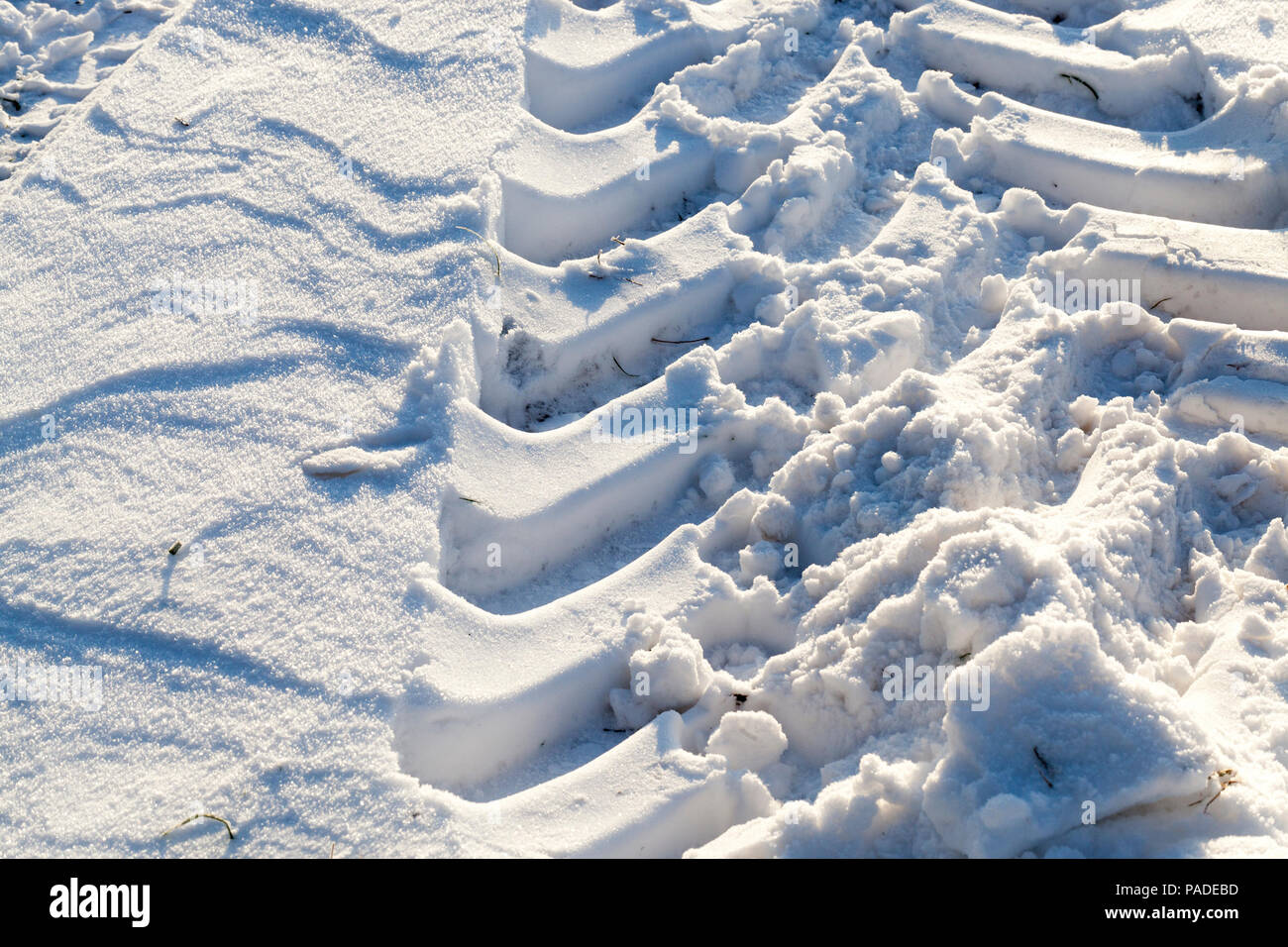 photographed nature during the time after a small snowfall Stock Photo ...