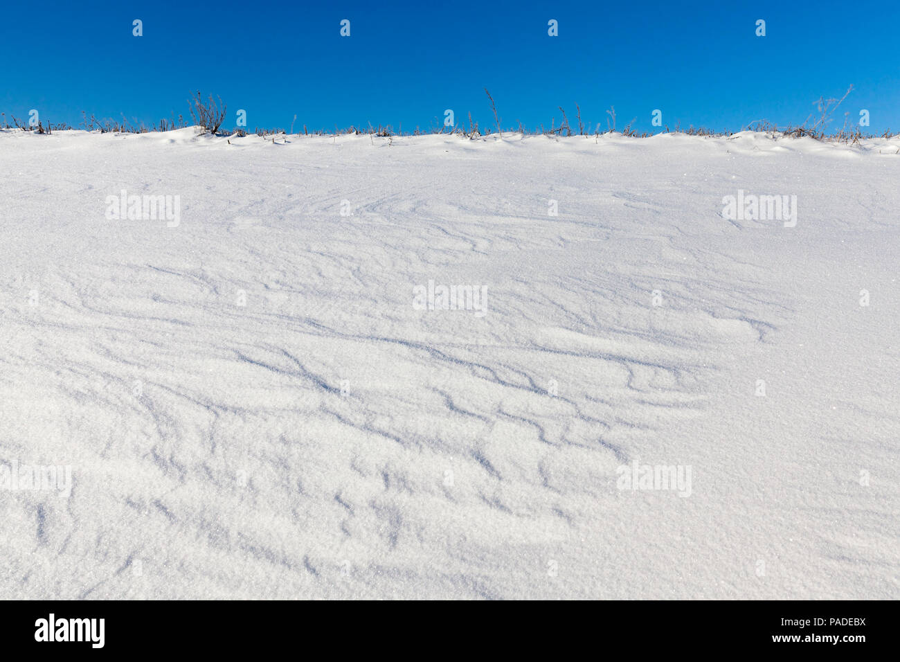 snow photographed in the winter season, which appeared after a snowfall ...