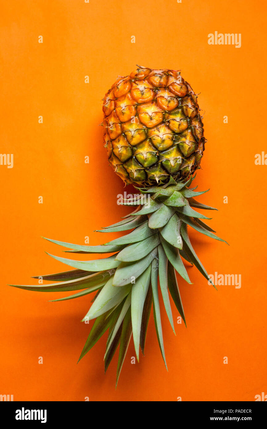 Fresh Pineapple In the orange background Stock Photo - Alamy