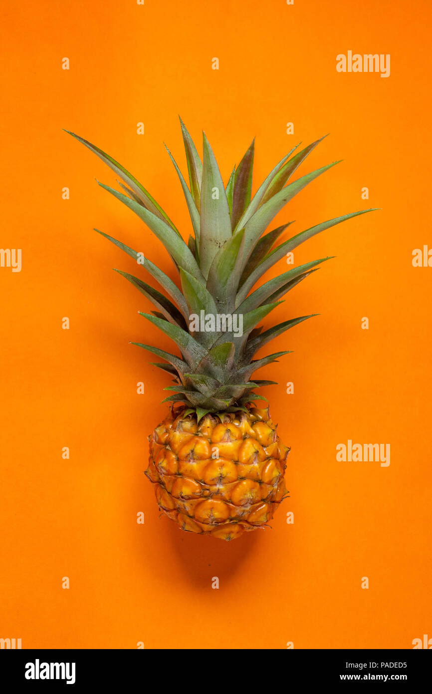 Fresh Pineapple In the orange background Stock Photo - Alamy
