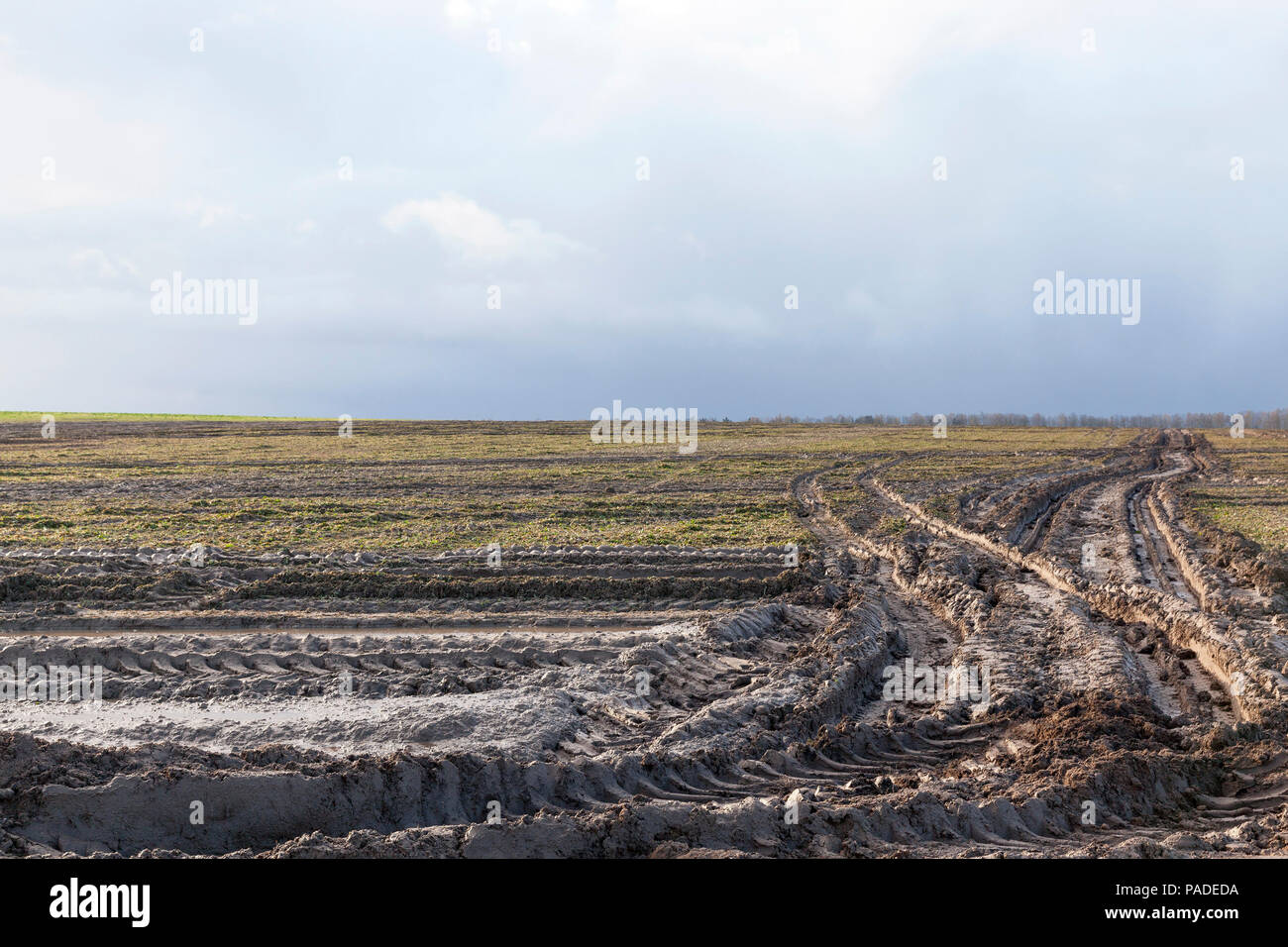Wheel rut hi-res stock photography and images - Alamy