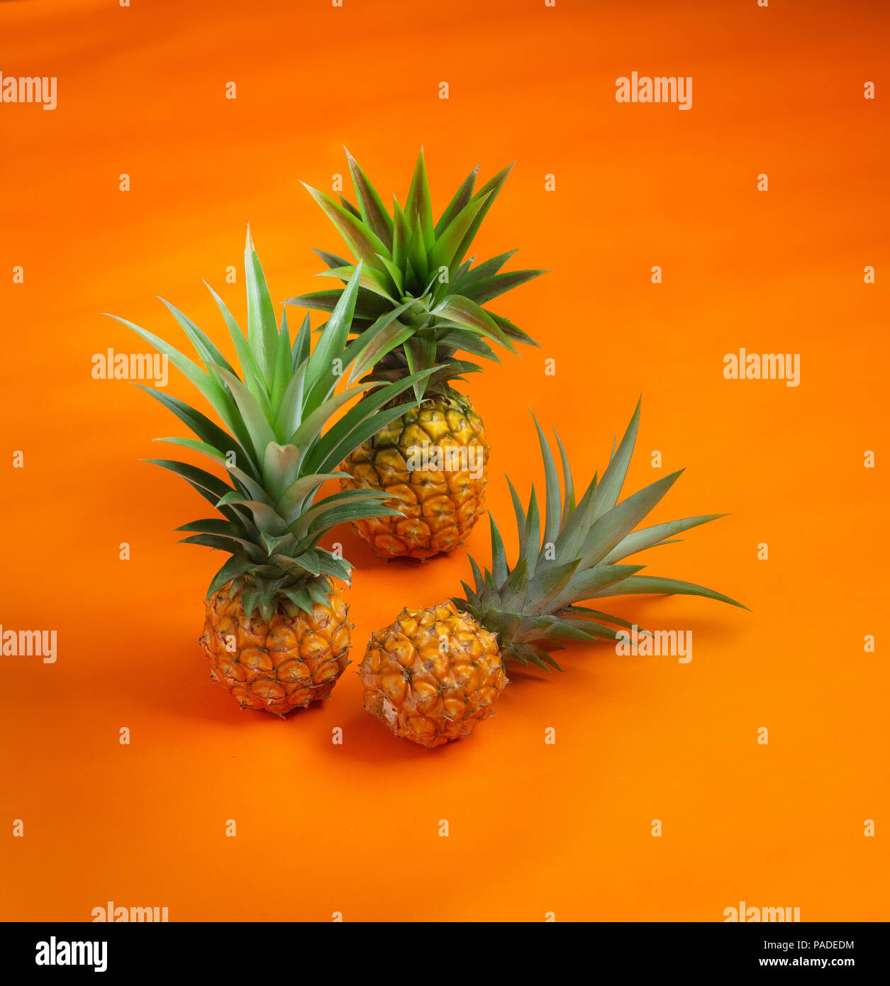 Fresh Pineapple In the orange background Stock Photo - Alamy