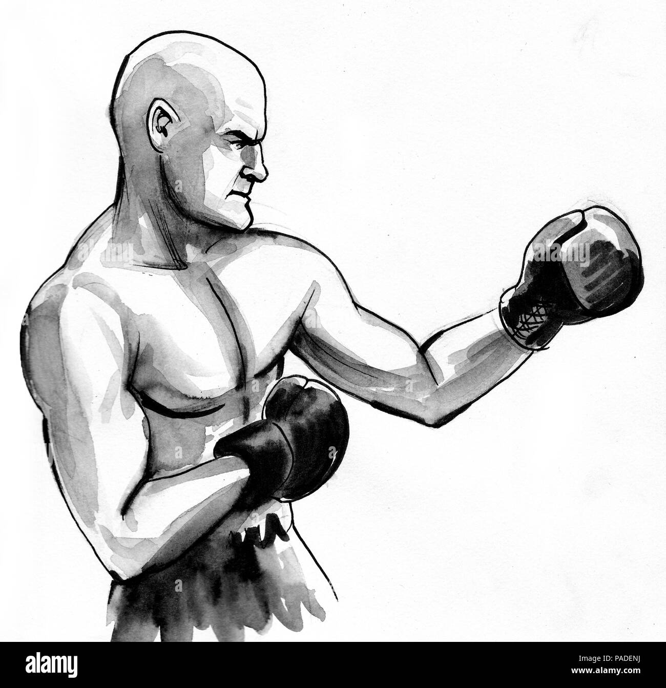 Boxer Fighter Drawing