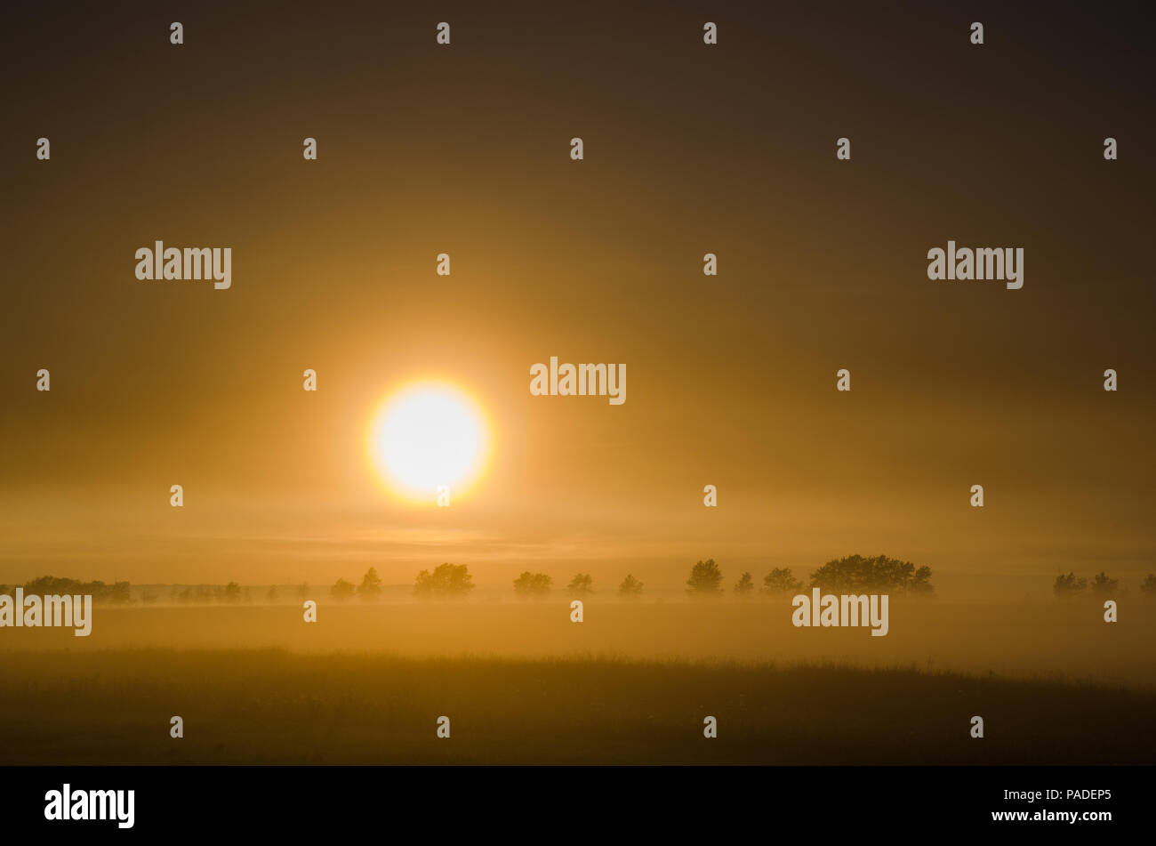 The yellow disk of the sun rising in the early morning fog in rural ...