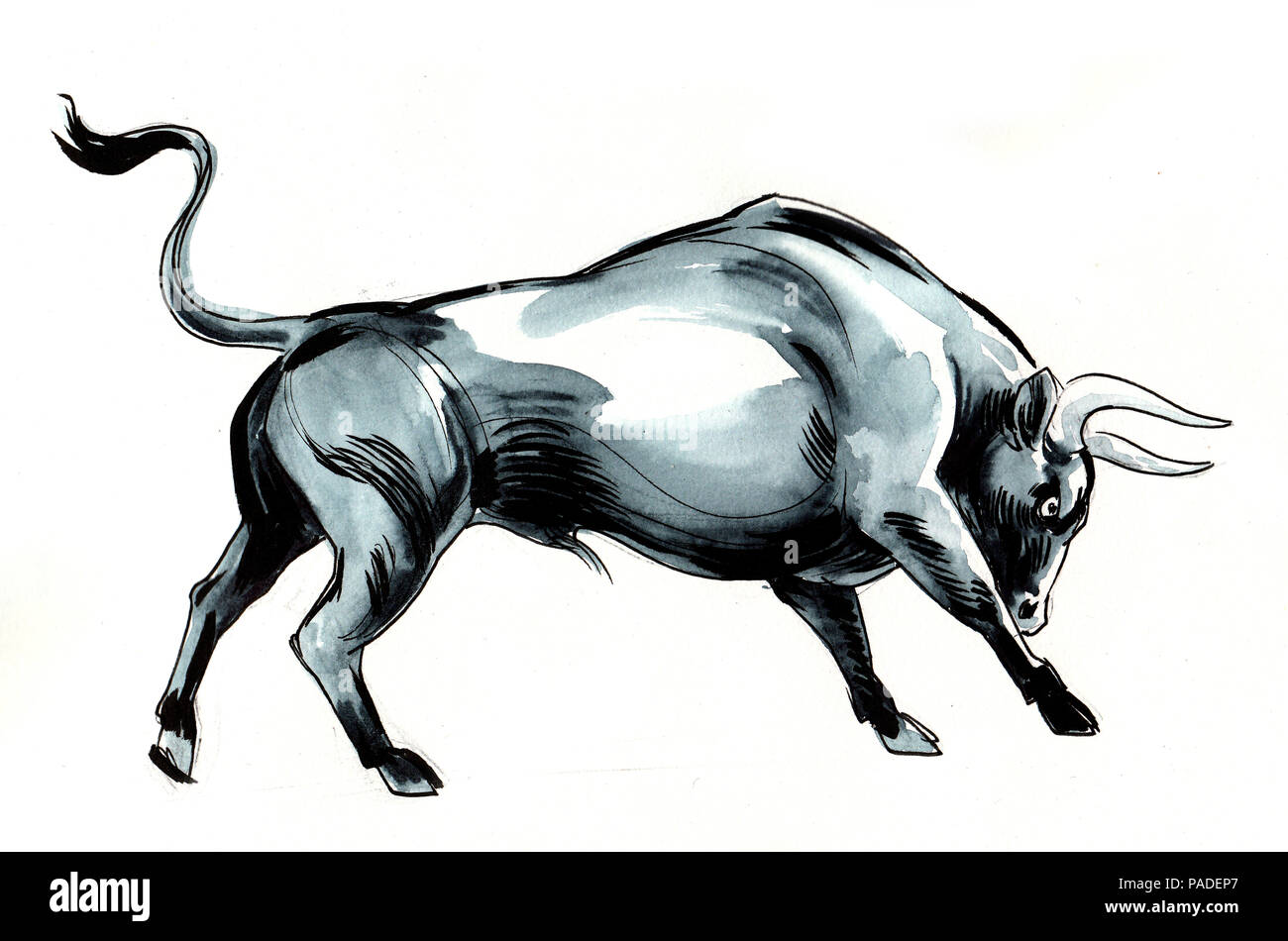 Big black bull. Ink and watercolor illustration Stock Photo - Alamy