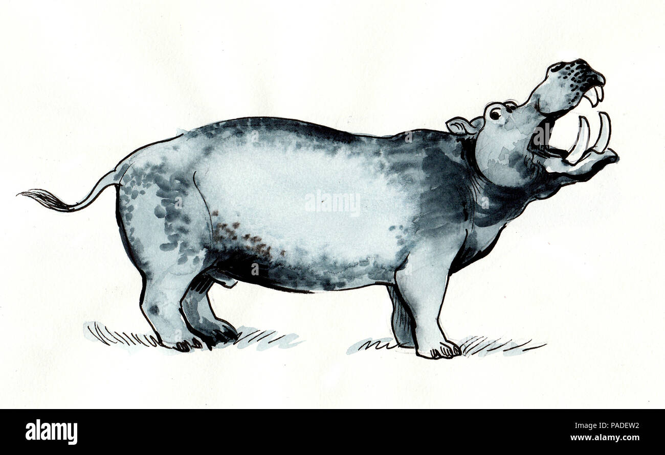 Big hippo. Ink and watercolor illustration Stock Photo - Alamy