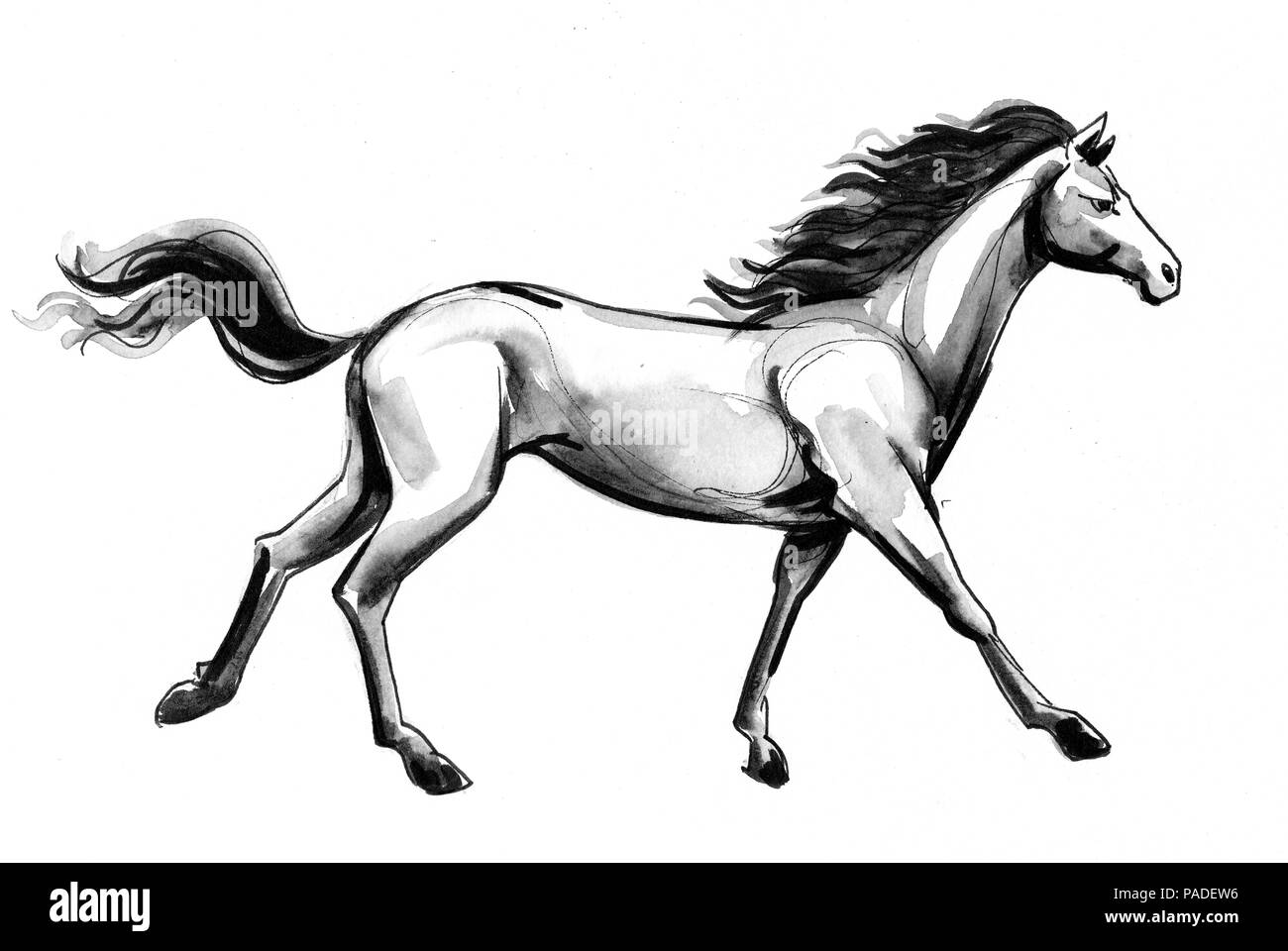 Running horse. Ink and watercolor illustration Stock Photo - Alamy