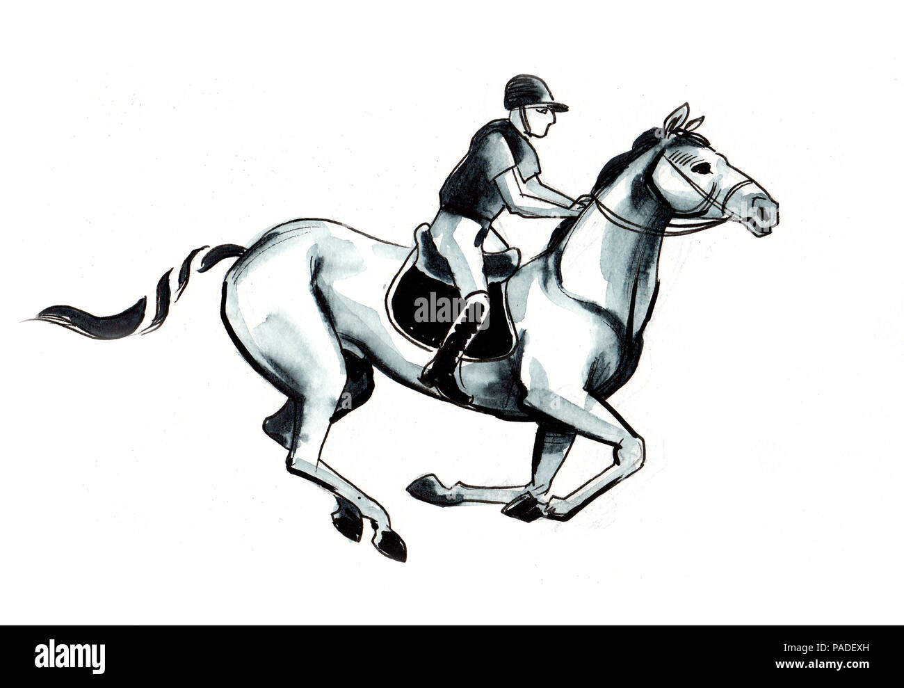 Sportsman riding a horse Stock Photo - Alamy