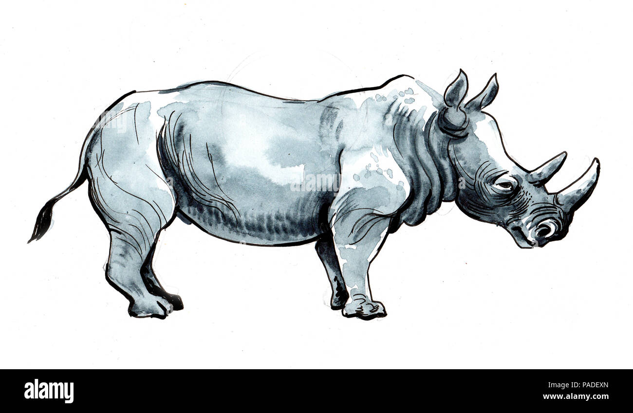 Dead Rhino In White Pen