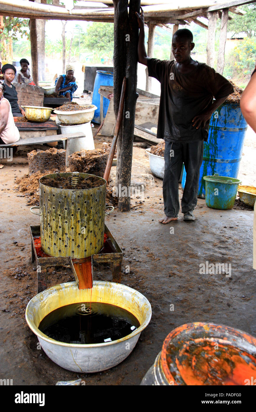 Palm oil factory hi-res stock photography and images - Alamy