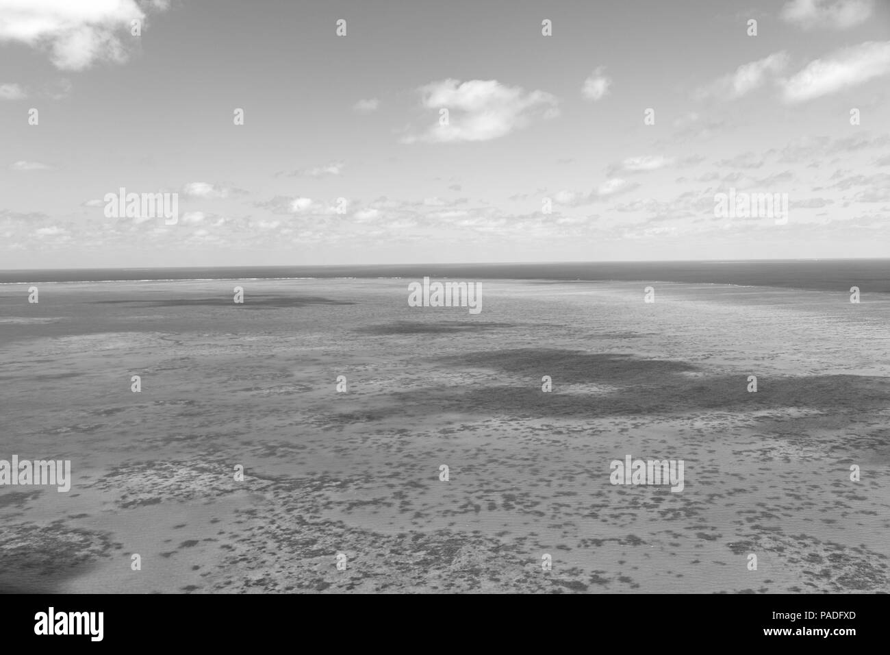 Natuarl environment hi-res stock photography and images - Alamy