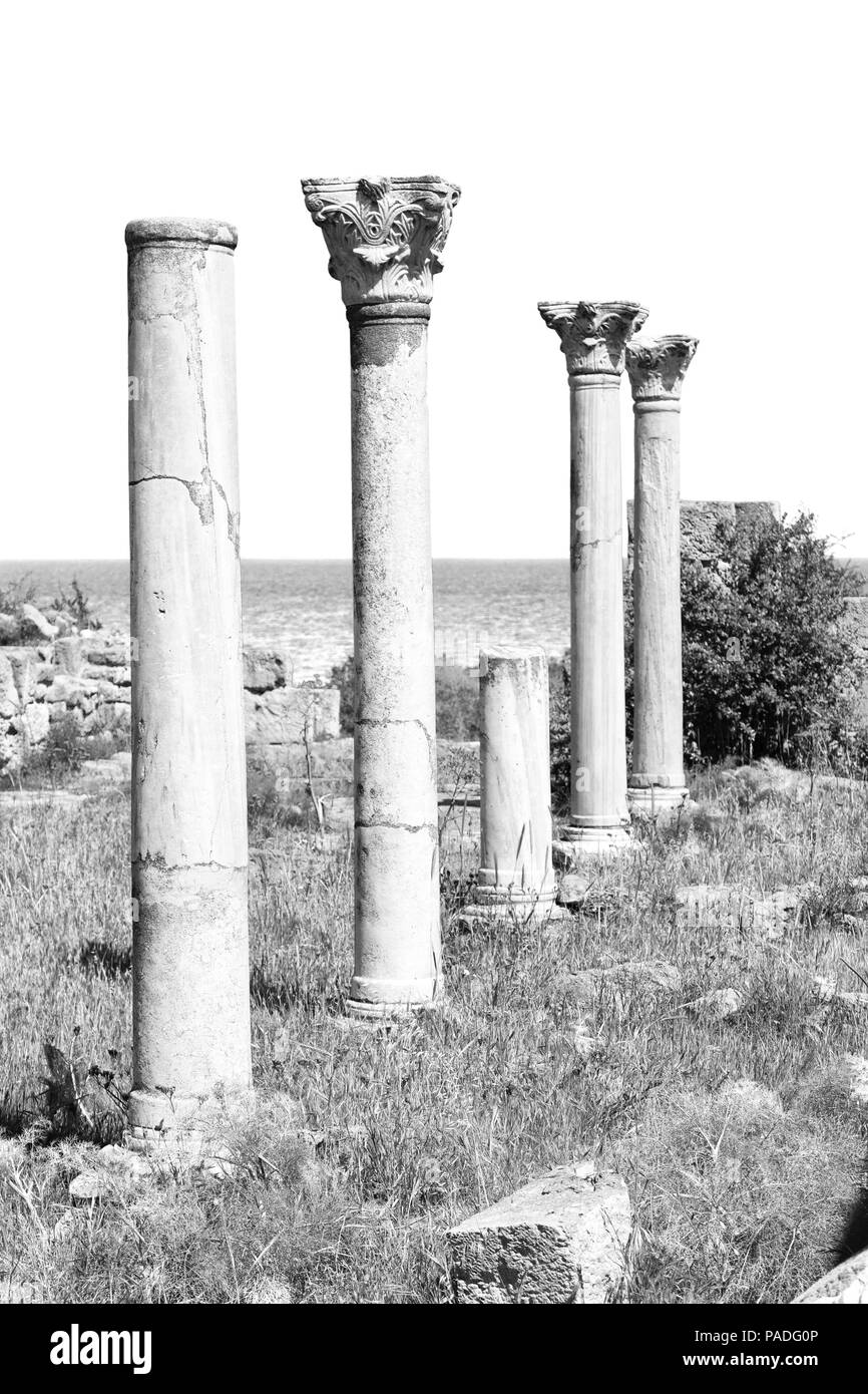 in northern of cyprus the antique city and ruins of salamina history ...