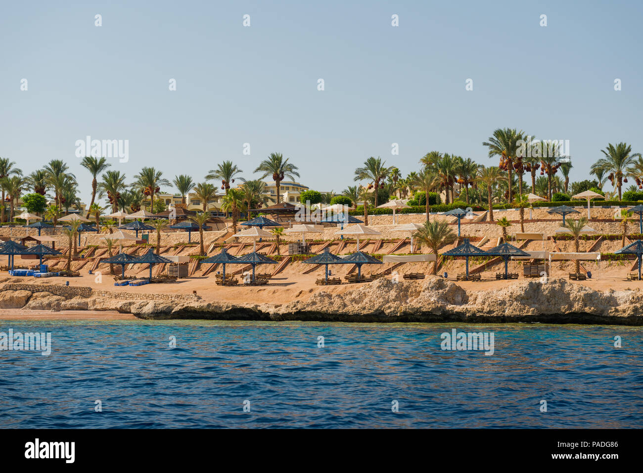 red sea coast with palm trees along beach Stock Photo - Alamy