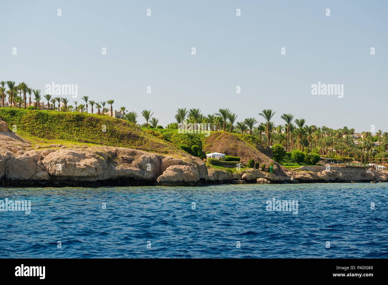 red sea coast with palm trees along beach Stock Photo - Alamy