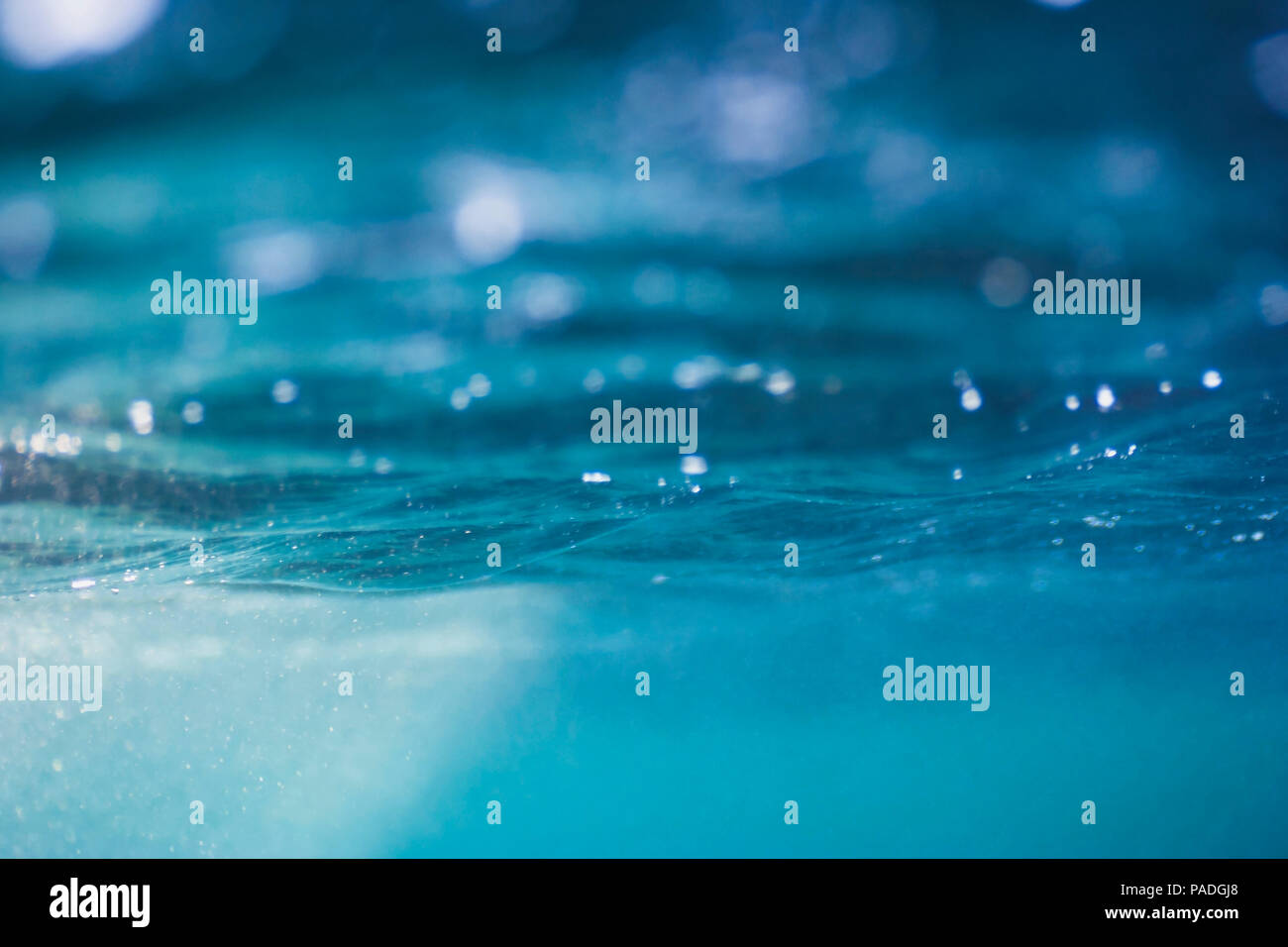 Droplet water see through hi-res stock photography and images - Alamy
