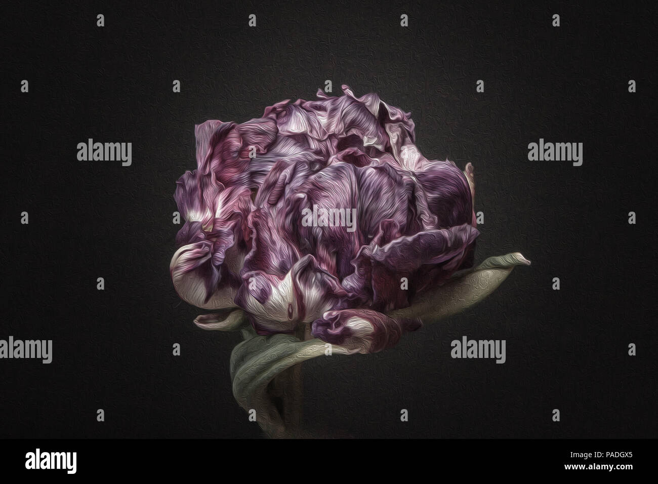 Styalised flower hi-res stock photography and images - Alamy