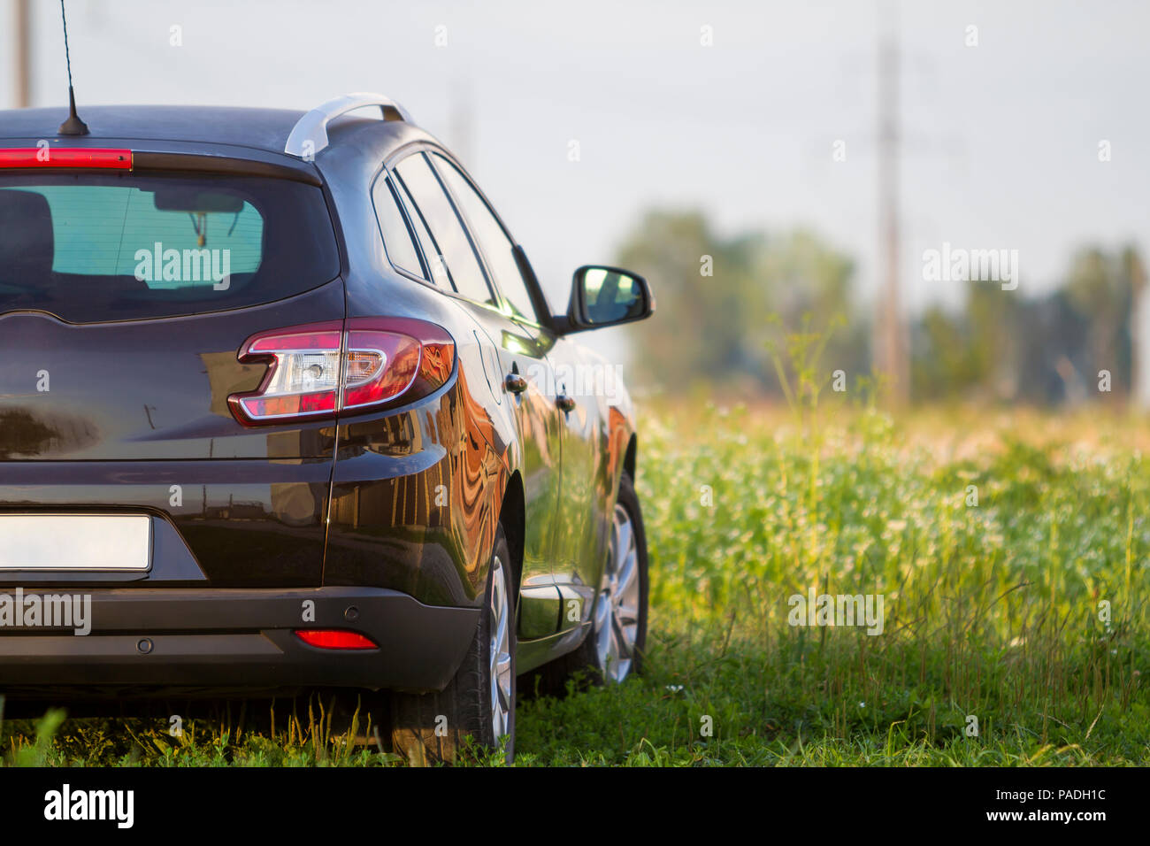 Back view of modern new shiny empty black car parked outside road in ...