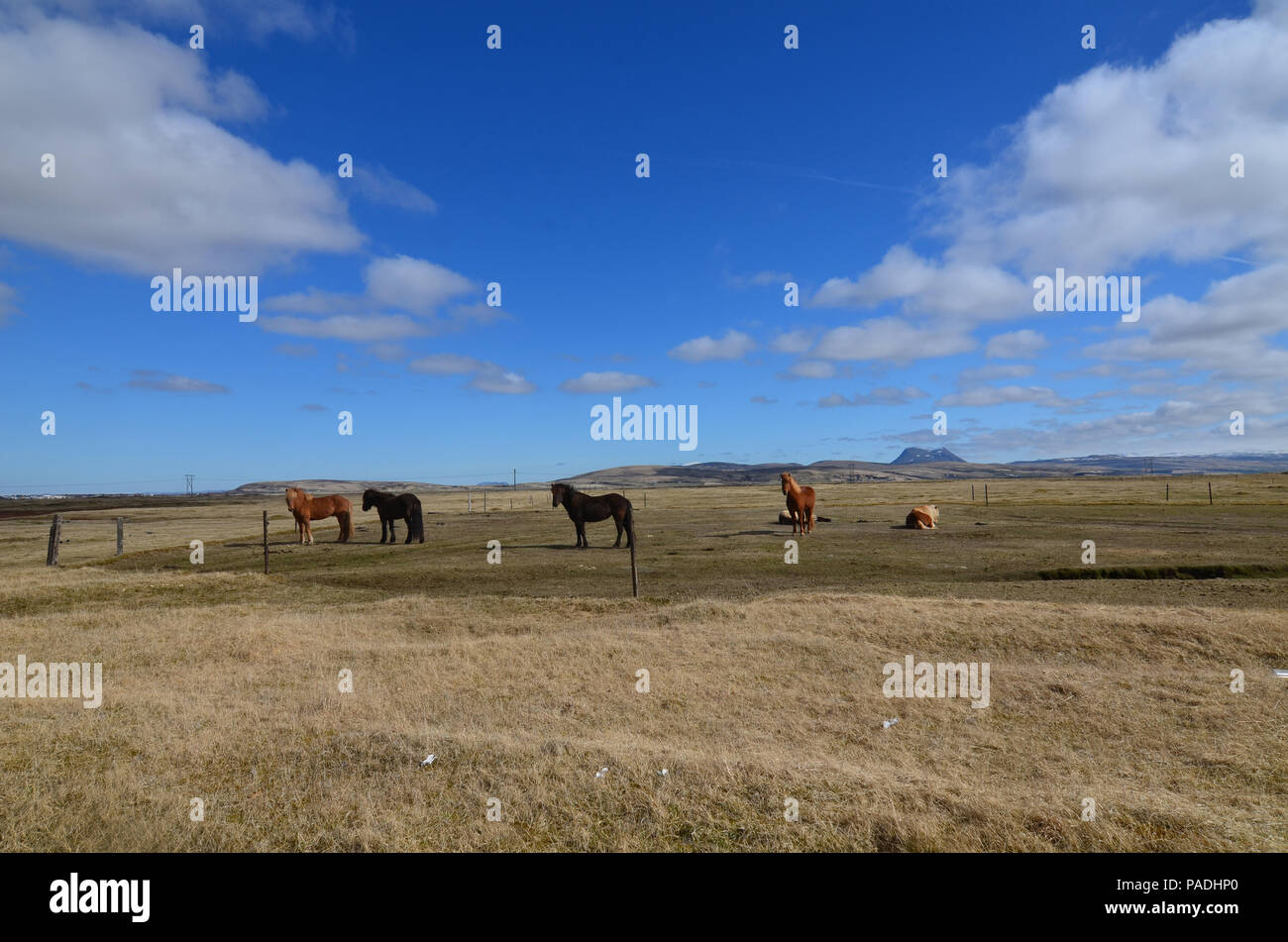 Icelandic photogaphy hi-res stock photography and images - Alamy