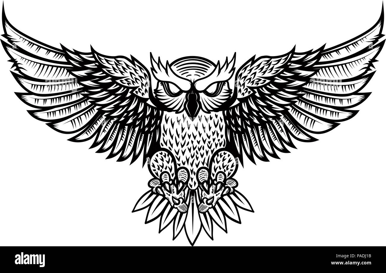 Owl Vector Black And White