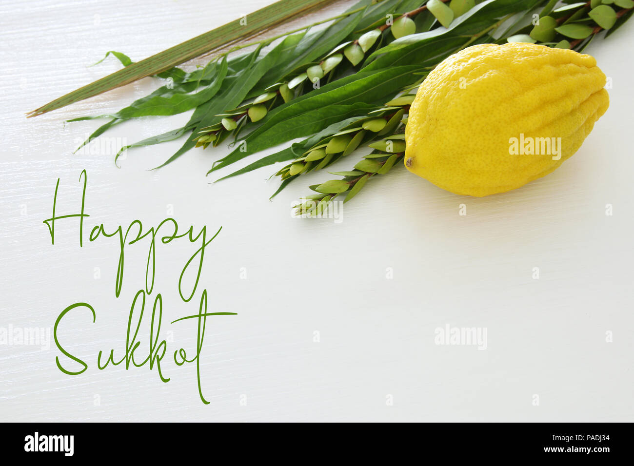 Jewish festival of Sukkot. Traditional symbols (The four species ...
