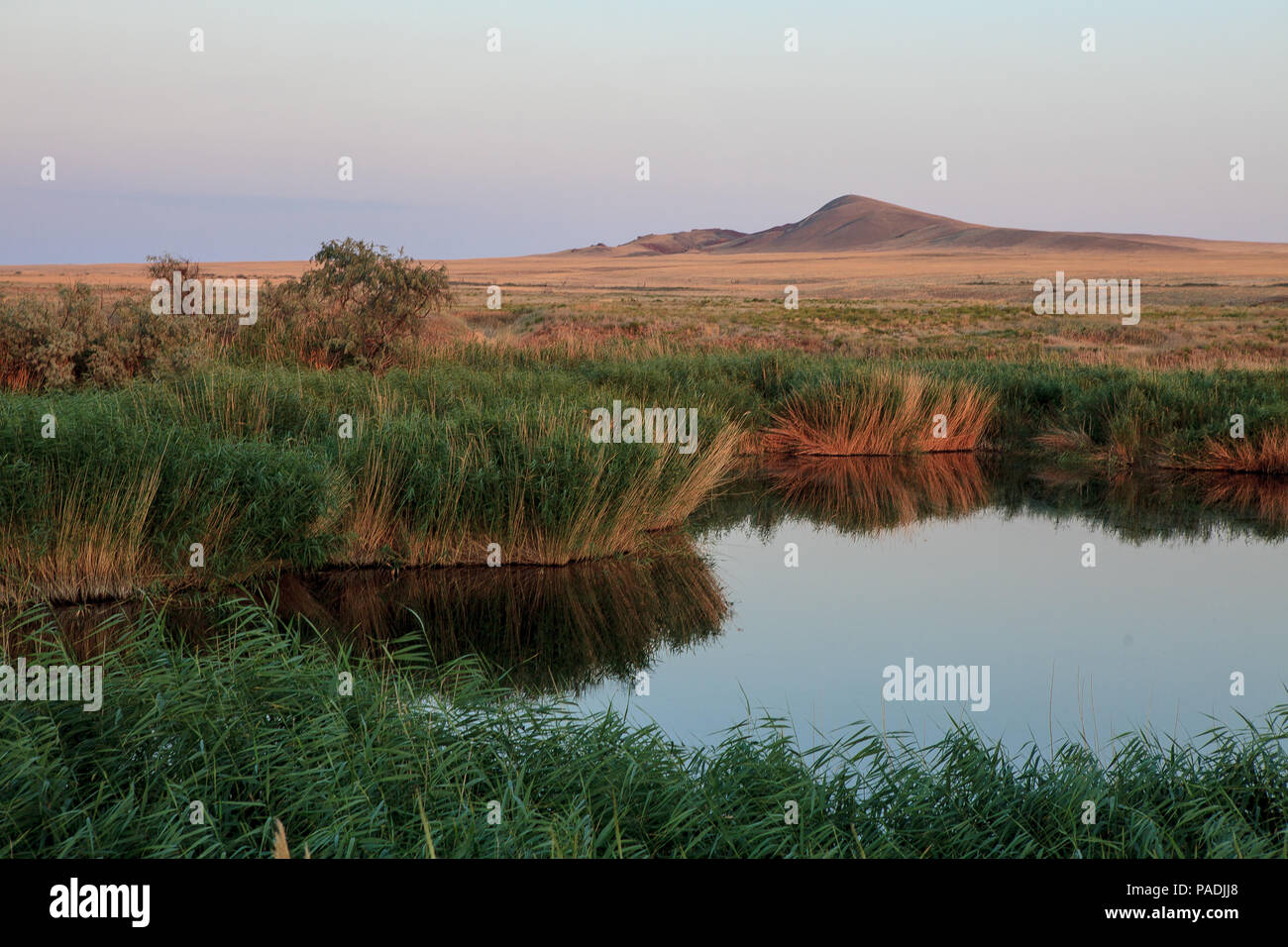 Lake in oasis in saline desert. Baskunchak, Russia Stock Photo - Alamy