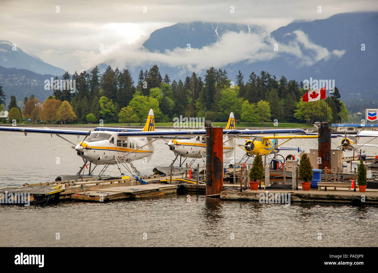 Float planes tied up alongside a jetty in Vancouver harbour early ...
