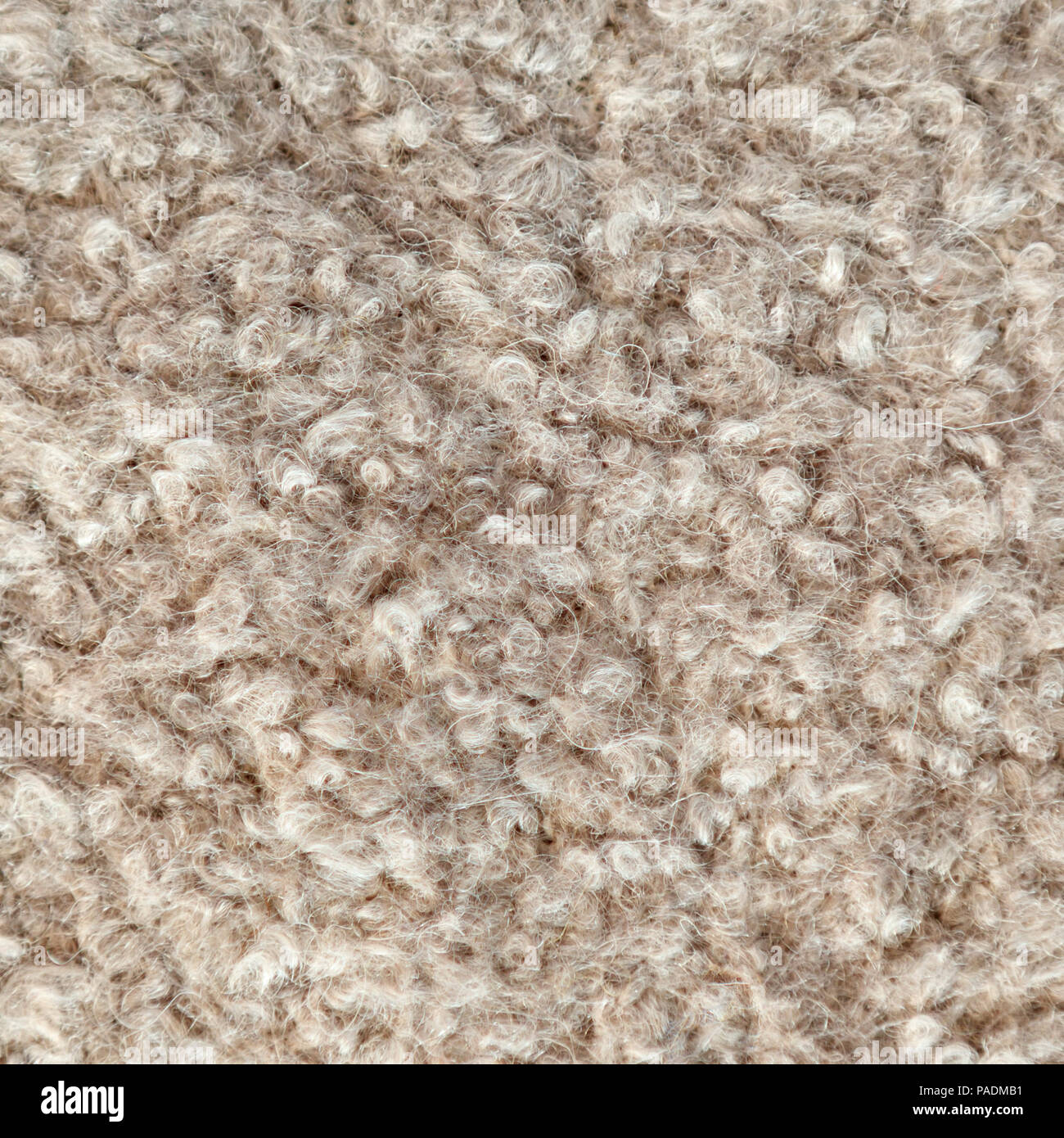Boucle texture hi-res stock photography and images - Alamy