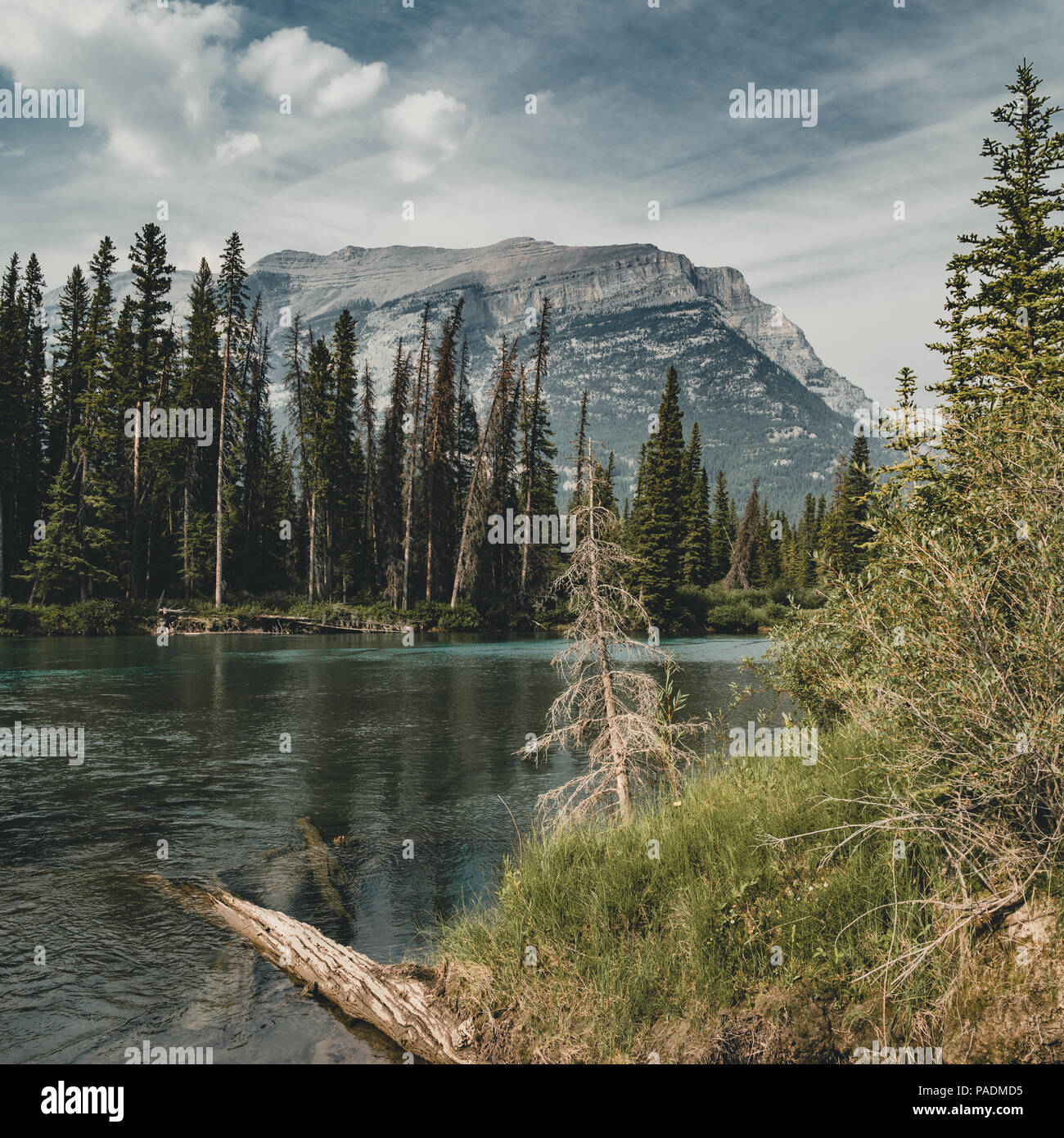 Scenic sunset views over bow river three sisters, Banff National Park ...