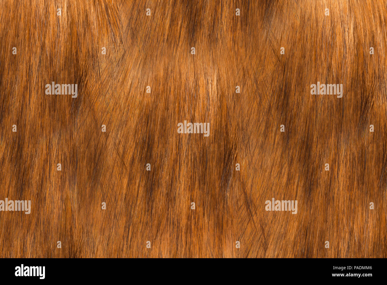Red fox hairy fur texture hi-res stock photography and images - Alamy