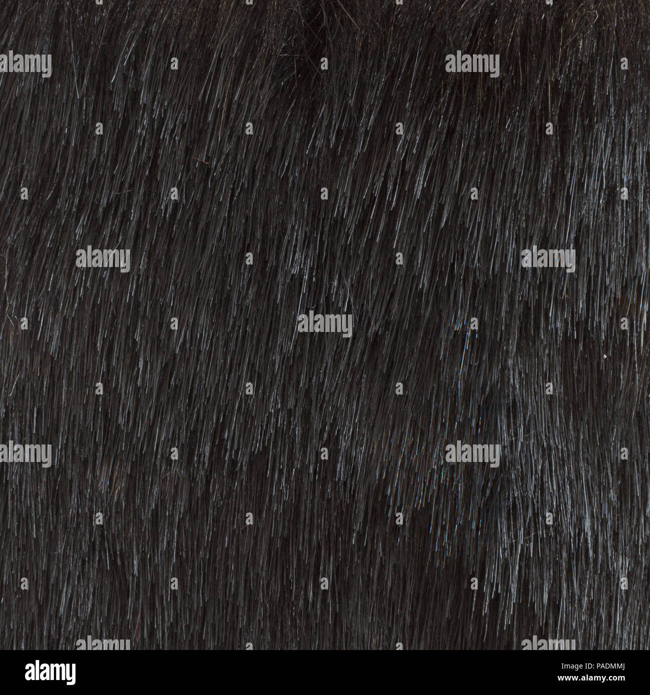 Black Fur Texture High Resolution Stock Photography and Images - Alamy