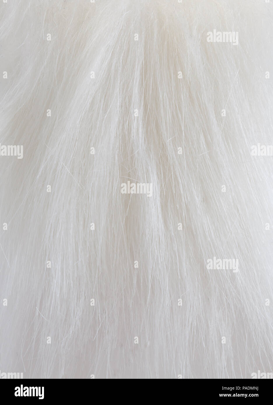 White white fur texture Stock Photo - Alamy