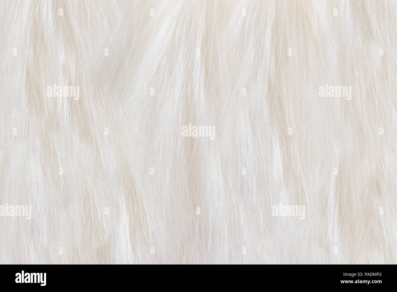 White fur texture hi-res stock photography and images - Alamy