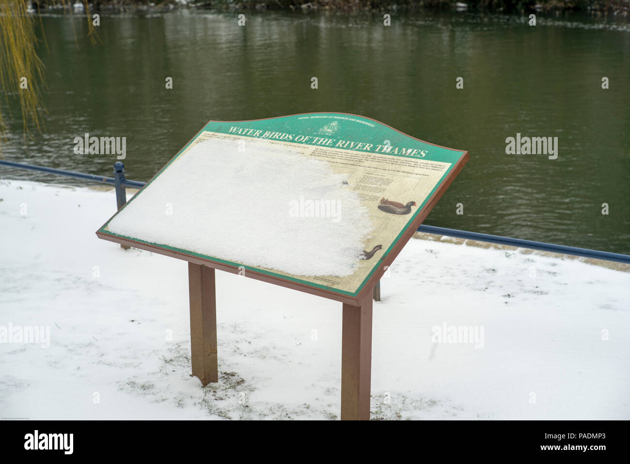 8 320 iso hi-res stock photography and images - Alamy