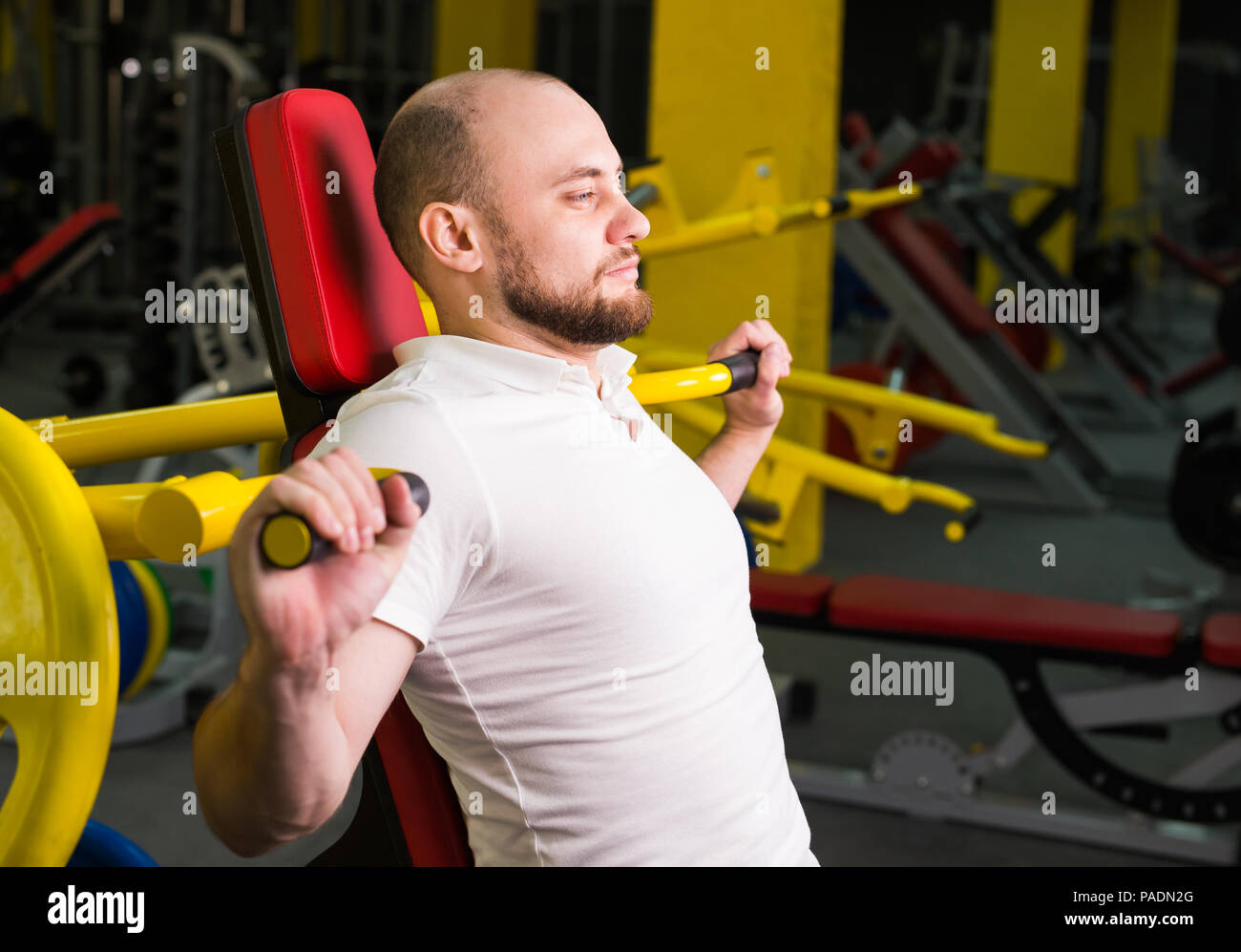 Fitness, athlete, bodybuilding and people concept - Muscular ...