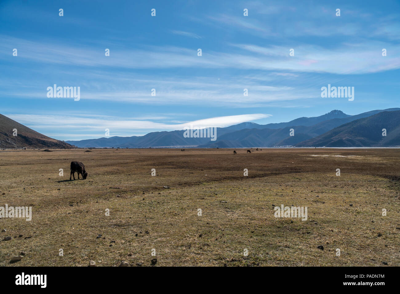 Napa Hai Nature Reserve: Archery field in Deqen Tibetan Autonomous ...