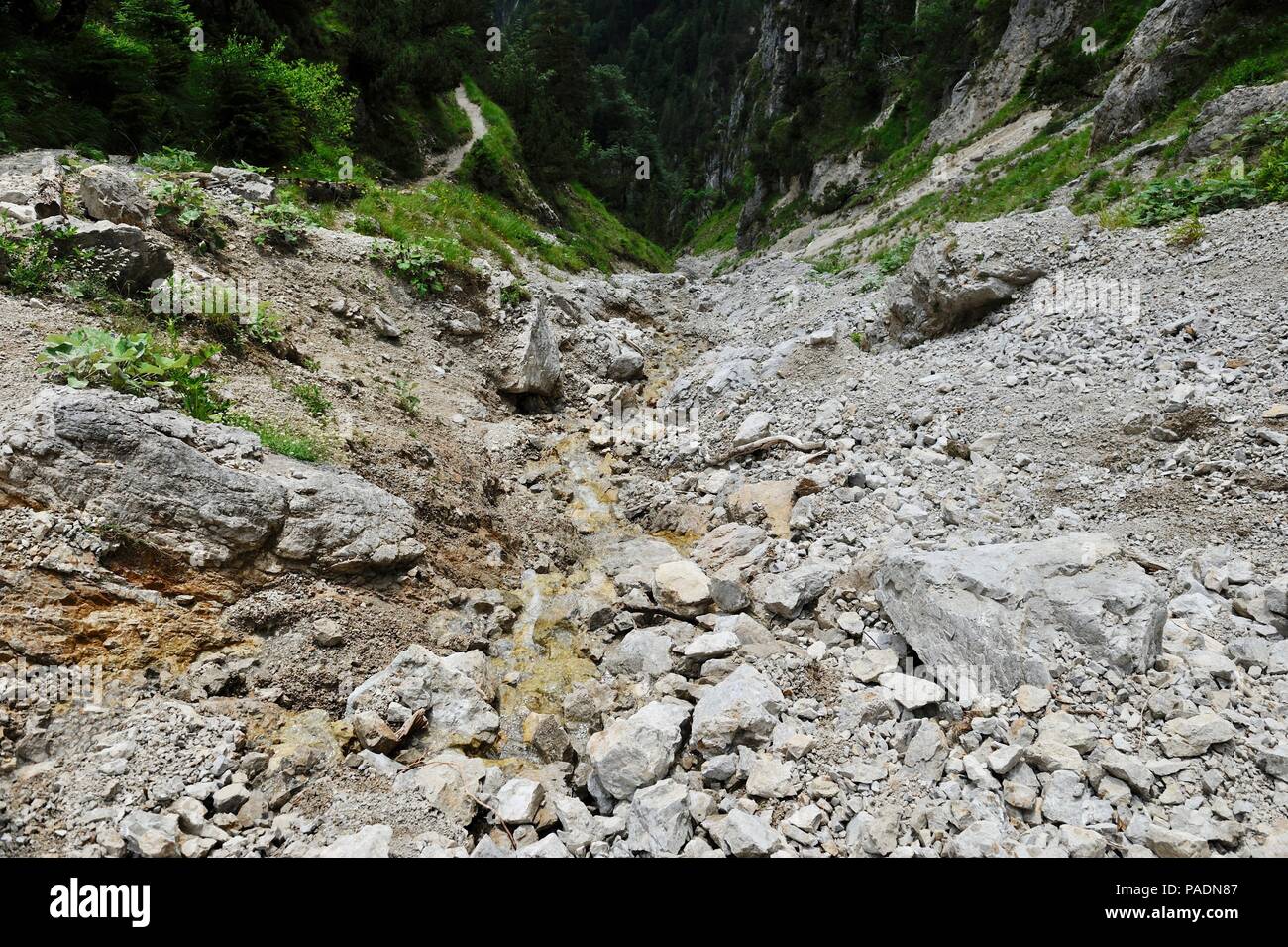 dry mountain stream Stock Photo - Alamy