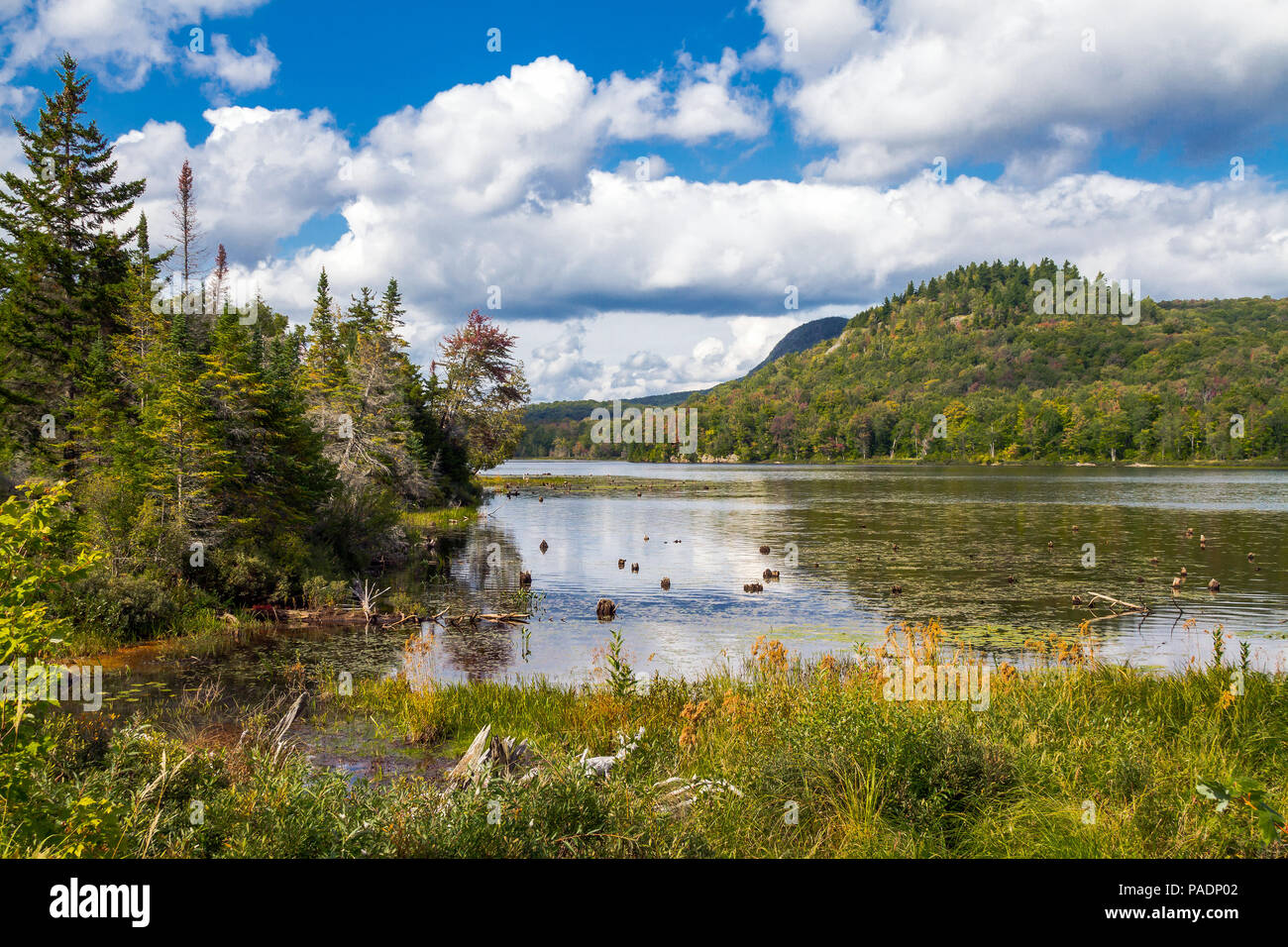 Early autumn in Mont Orford National Park, Eastern Townships, Quebec ...